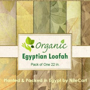 NileCart Egyptian Loofah Sponges Natural Exfoliating Body Wash Gourd, Loofah Bath Sponges for Skincare, Exfoliating Back Scrubber (One Whole Loofah 22")