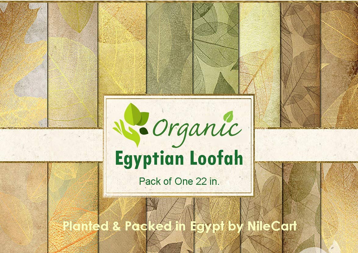 NileCart Egyptian Loofah Sponges Natural Exfoliating Body Wash Gourd, Loofah Bath Sponges for Skincare, Exfoliating Back Scrubber (One Whole Loofah 22")