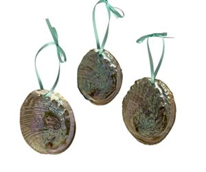 tropical small abalone seashell christmas tree ornaments, set of 3, nautical and beach holiday decor