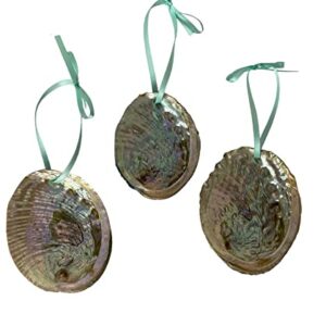 Tropical Small Abalone Seashell Christmas Tree Ornaments, Set of 3, Nautical and Beach Holiday Decor