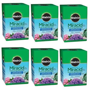 scotts company miracle-gro 1750011 water soluble miracid acid-loving plant food, 1-pound (6)