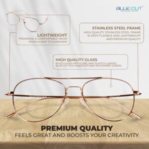 Blue Light Blocking Glasses- Unisex Stylish Aviator Video Gaming Computer Glasses