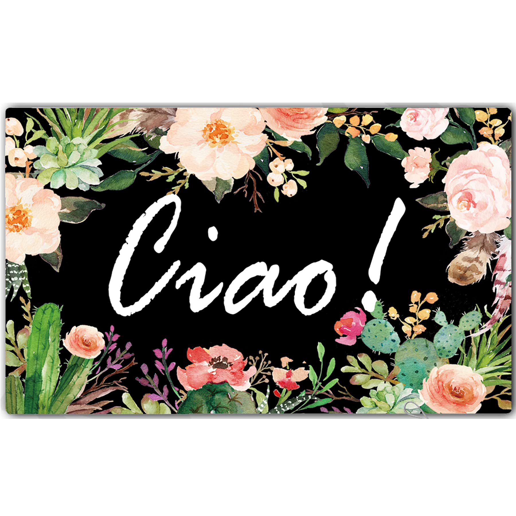 MsMr Funny Door Mat Ciao Decorative Indoor Outdoor Custom Doormat Non-Woven Fabric Home Office Welcome Mat 23.6" x 15.7"