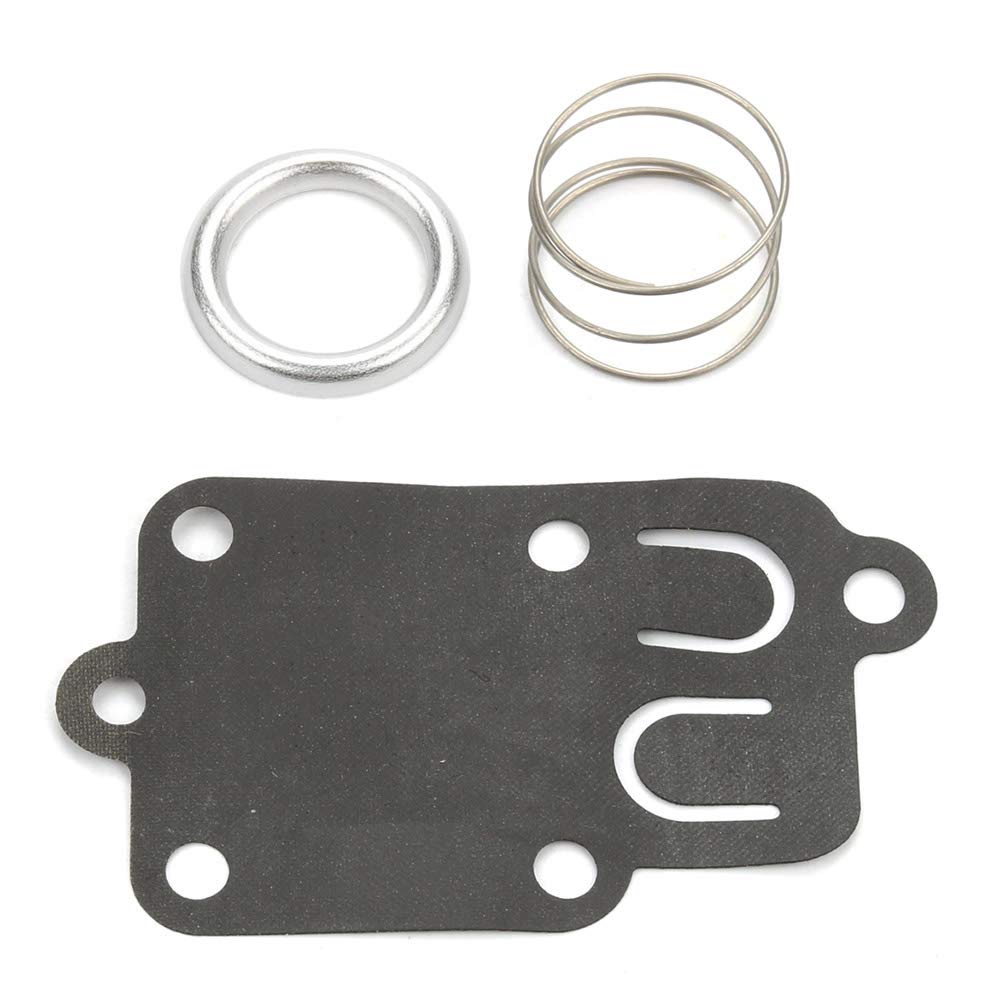 Wellsking 495606 494624 Carburetor Overhaul Repair Rebuild Kit with Gasket for BS Pulsa Jet Carb 80200 81200 82200 3 Thru 5 HP Horizontal Engines