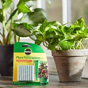 Miracle-Gro Indoor Plant Food Spikes, 1.1-Ounce (4 Pack) (4)