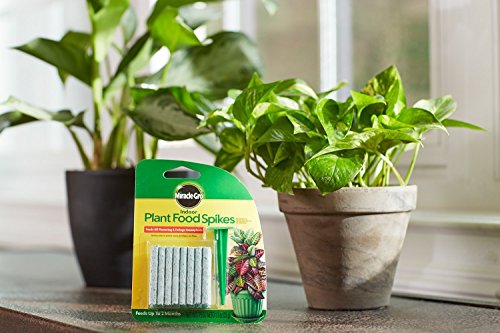 Miracle-Gro Indoor Plant Food Spikes, 1.1-Ounce (4 Pack) (4)