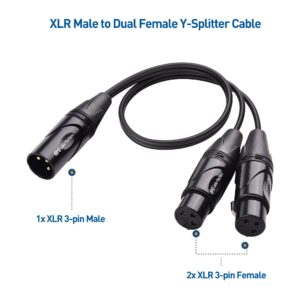 Cable Matters Balanced XLR Splitter Cable - 1.5ft / 0.5m, Male to 2 Female XLR Y Cable (XLR Splitter 1 Male to 2 Female)