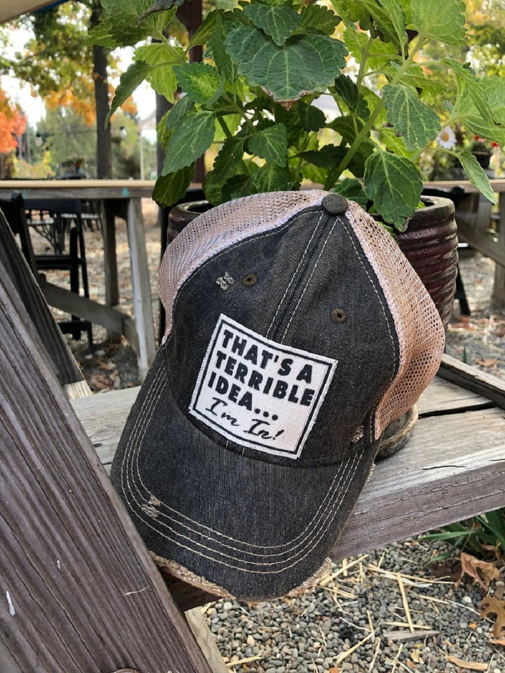 VINTAGE LIFE Women's Trucker Baseball Cap (Terrible Idea, I'm in (Black))