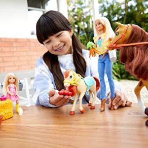 Barbie Playset and Chelsea Blonde Dolls, 2 Horses with Bobbling Heads and 15+ Toy Accessories That Include Corral Fencing, Feeding, Grooming, Nurturing and Horseback Riding Pieces