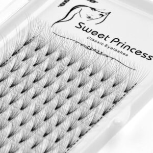 12rows,120pcs 10d premade volume fans eye lashes extensions thickness 0.07mm d curl black soft individual false eyelashes makeup fake lashes cluster 8-18mm to choose(14mm)