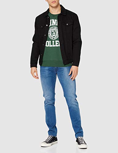 Bottle Green and White Trinity College Dublin Ireland Seal Sweatshirt (Green, XX-Large)