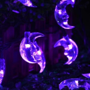 EONLYX Solar Moon Lights, Moon Fairy Lights 6M/30 LED Moon String Lights for Gardens Homes Wedding Christmas Party Decoration (Purple)