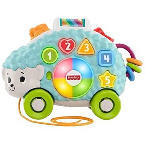 Fisher-Price GHR16 Linkimals Happy Shapes Hedgehog, Interactive Baby Toy with Lights and Sounds