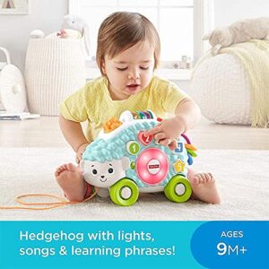 Fisher-Price GHR16 Linkimals Happy Shapes Hedgehog, Interactive Baby Toy with Lights and Sounds