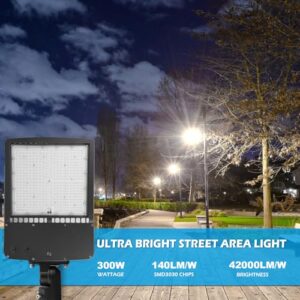 300W LED Parking Lot Light with Dusk to Dawn Photocell, 42000Lm 5700K Led Shoebox Pole Light Outdoor Commercial Street Area Lighting, 0-10V Dim - Direct Arm & Slip Fitter in One Mount (UL-Listed)