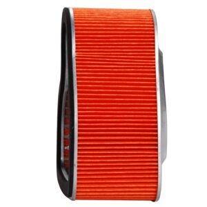 HIFROM Air Filter Element Cleaner replacement for Honda VTX1800 VTX1800C VTX1800F VTX1800N VTX1800R VTX1800S Engine 2002-2008 Replace 17213-MCH-000，Air Filter Cleaner (Pack of 1)