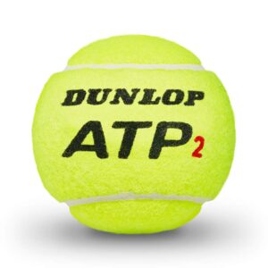 DUNLOP ATP Regular Duty Tennis Balls (Case)