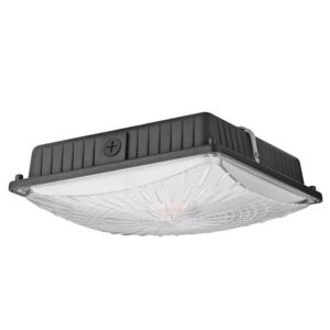 1000LED (4 Pack LED Canopy Light, 65W, Ceiling Lights Fixtures 8000LM Daylight 5000K, 250W HID/HPS Replacement, Waterproof IP65 Gas Station and Garage Light