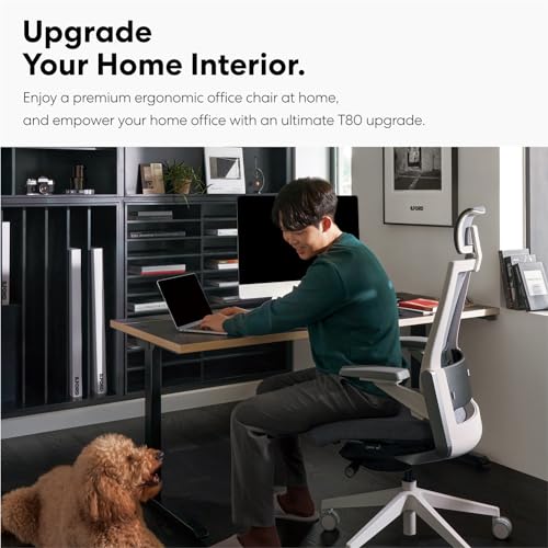 SIDIZ T80 Premium Ergonomic Office Chair : Extreme Comfort Home Office Desk Chair, Adjustable Headrest, Lumbar Support, 3D Armrests, Forward Tilt, Seat Depth, Alternative Gaming Chair (White)