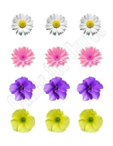 spring flowers (not 3d) edible party cupcake toppers decoration frosting toppers 12/sheet