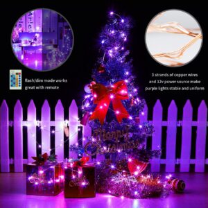 iiEASEST Purple Led Fairy String Lights Halloween Christmas Gift for Mother Grandma 100 LED 33 Feet Wire Micro Mini Twinkle Starry Lights with Remote for Tree Bedroom Party Wedding Decor