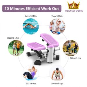 leikefitness Premium Portable Climber Stair Stepper & Waist Fitness Twister Step Machine with LCD Monitor ST6600-1(Pink)