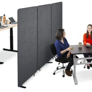 Stand Steady ZipPanels Office Partition | Room Dividers | Three Zip Together Panels Provide Privacy and Reduce Ambient Noise in Workspace, Classroom and Healthcare (Dark Gray)