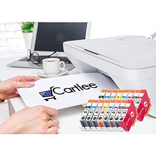 Cartlee Set of 16 Compatible High Yield Ink Cartridges Replacement for Canon CLI-42 PIXMA PRO-100 Pro100 100 100S CLI 42 (2 Black, 2 Cyan, 2 Magenta, 2 Yellow, 2 PC, 2 Photo M, 2 Gray, 2 Light Gray)