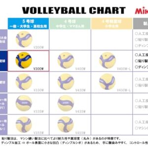 MIKASA V300W Volleyball, Blue, 5