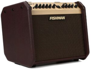 fishman loudbox mini bt 60-watt 1x6.5 inches acoustic combo