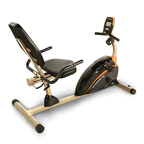 EXERPEUTIC 1500XL Recumbent Exercise Bike with Pulse | 300 lbs. Weight Capacity