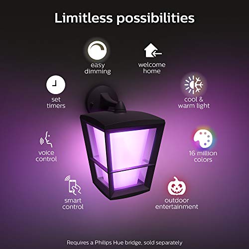 Philips Hue Econic Down Outdoor Smart Wall Light, Black - E26 White and Color Ambiance LED Color-Changing Bulb - 1 Pack - Requires Hue Bridge - Control with Hue App and Voice - Weatherproof