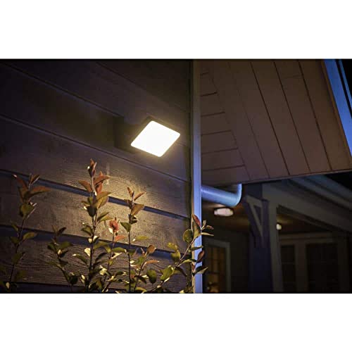 Philips Hue Welcome Outdoor White Smart Floodlight, Works with Amazon Alexa, Apple Homekit, and Google Assistant, Hue Bridge Required, 1 Count (Pack of 1)