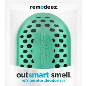 remodeez Refrigerator Deodorizer Eliminator, Nontoxic Coconut, Activated Charcoal, Natural Air Fresheners, Moisture & Odor Absorber for Fridge (Green)