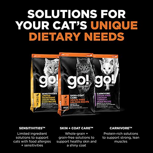 GO! SOLUTIONS Skin + Coat Care - Grain Free Dry Cat Food, 8 lb - Salmon Recipe - Cat Food for All Life Stages - with Probiotics