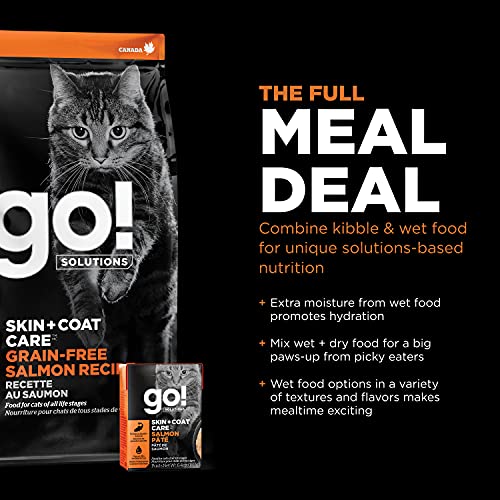 GO! SOLUTIONS Skin + Coat Care - Grain Free Dry Cat Food, 8 lb - Salmon Recipe - Cat Food for All Life Stages - with Probiotics