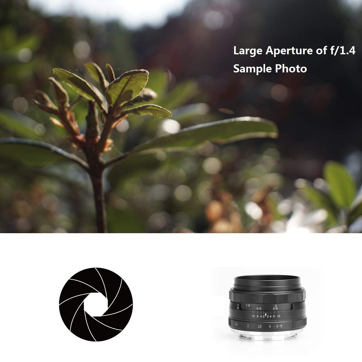 MEIKE MK-35mm F/1.4 Manual Focus Large Aperture Lens Compatible with Olympus Panasonic Micro Four Thirds M4/3 System Mirrorless Camera