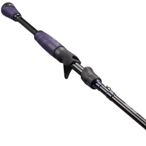 lew's team lew's pro-ti speed stick 7'3" medium heavy casting rod