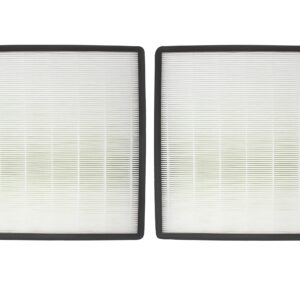 Fette Filter - Air Purifier True HEPA Filter F Compatible with Holmes HAP769. Compare to Part # HAPF700 (2 Pack)