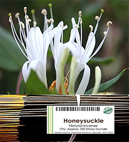 True Sweet Honeysuckle Premium Hand Dipped Incense Sticks - Natural Premium Floral Incense by Oakland Gardens (Honeysuckle (100 Sticks))