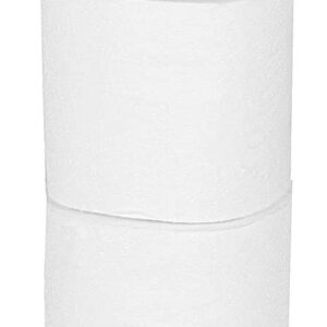 Spectrum Euro Toilet Tissue Holder (Satin Nickel) - Free-Standing Toilet Paper Roll Reserve & Storage for Bathroom