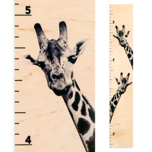 headwaters studio animals growth chart for kids - baby height chart height tracker kids wooden growth chart for wall grow chart height chart for kids safari nursery, giraffes - 46"x75"x.25