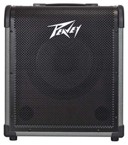 peavey max 100 100-watt bass amp combo