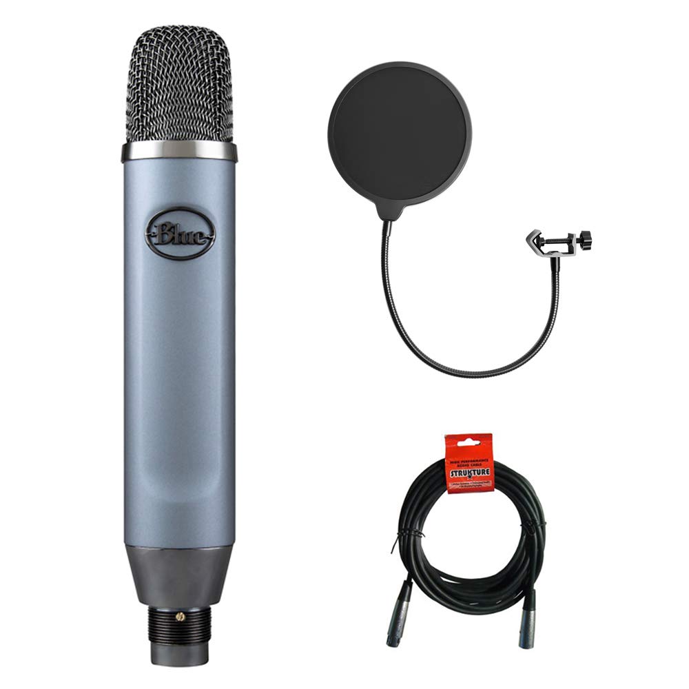 Blue Ember Small Diaphragm Studio Condenser Microphone with Kellopy Pop Filter & XLR-XLR Cable Bundle