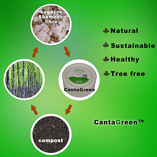 CantaGreen 12 OZ Compostable Bowls,100 Count Heavyduty Sugarcane/Bagasse and Bamboo Fibre Biodegradable Disposable Paper Bowls