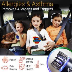 Car Air Purifier Ionizer - 12V Plug-in Ionic Anti-Microbial Car Deodorizer with Dual USB Charger - Smoke Smell, Pet and Food Odors, Allergens, Viruses Eliminator for Car (Matte Black)