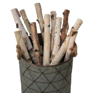 Wilson Decorative White Birch Logs, Natural Bark Wood Home Décor (Set of 12) - 15.5"-17.5" in Length 1"-1.5" Dia.