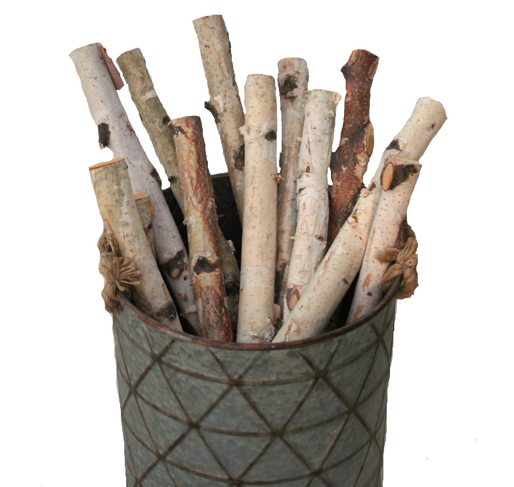 Wilson Decorative White Birch Logs, Natural Bark Wood Home Décor (Set of 12) - 15.5"-17.5" in Length 1"-1.5" Dia.