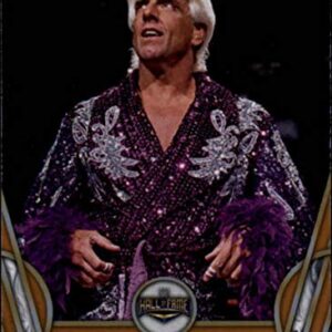 2018 Topps Legends of WWE Bronze #41 Ric Flair Wrestling Trading Card