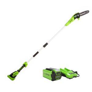 greenworks 40v 8-inch cordless polesaw, 2.0ah battery and charger included ps40b210